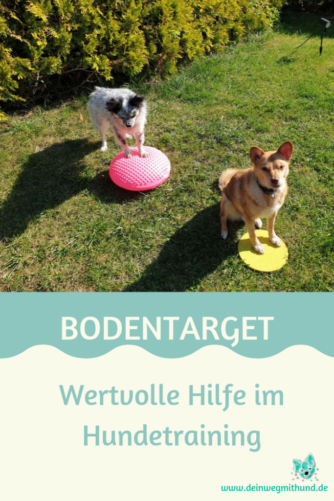 Bodentarget Hund Ikea