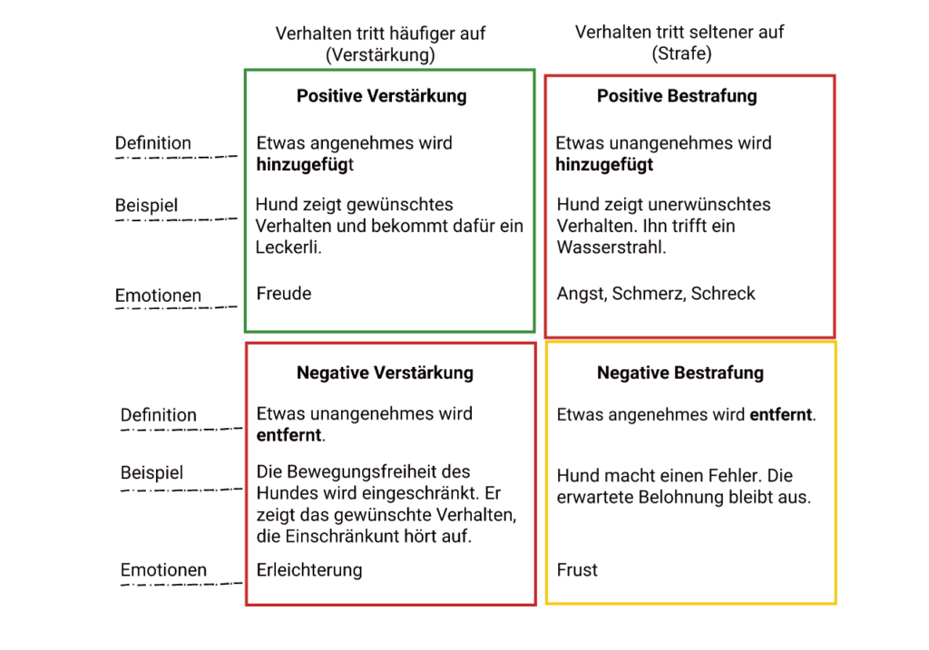 Positive Verstärkung – Fragen und Antworten - Dein Weg mit Hund