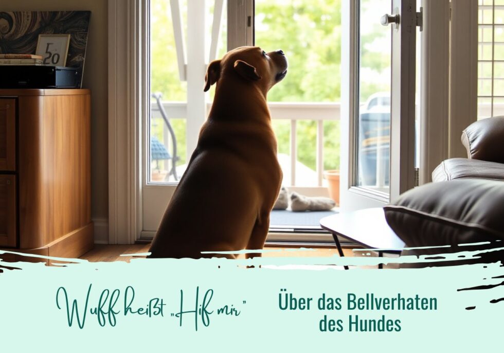 Wuff heißt „Hilf mir" - Wenn Hunde bellen - Dein Weg mit Hund